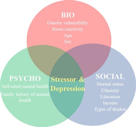 What Is The Biopsychosocial Model Definition And Example At Astrid York Blog