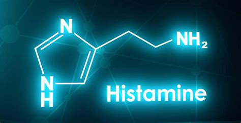Histamine And Histamine Intolerance Allergy Field