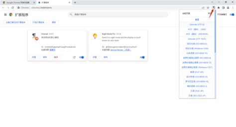 谷歌浏览器网页乱码是咋回事谷歌浏览器网页乱码解决方法 天极下载