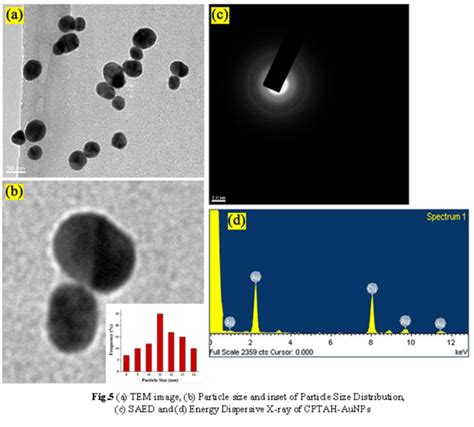 A Tem Image B Particle Size And Inset Of Particle Size