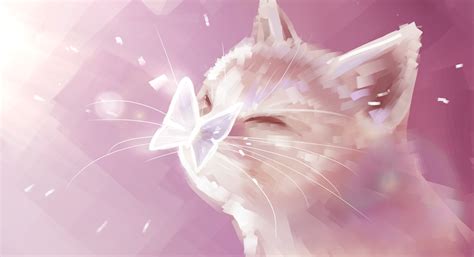 Эстетичные котики 68 фото