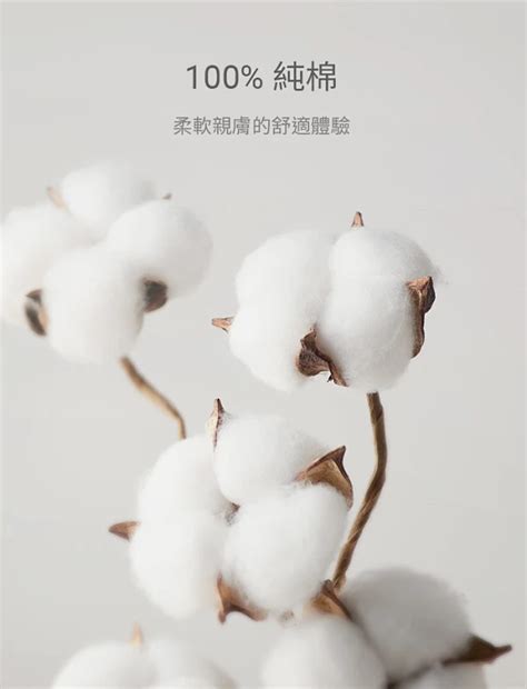 棉花 花瓣网