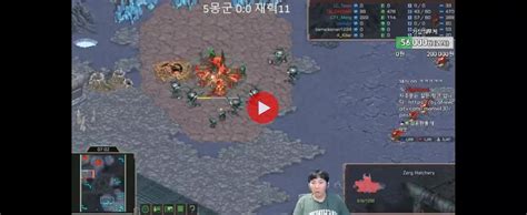 K리그 박재혁 히드라 컨트롤 스타크래프트 에펨코리아