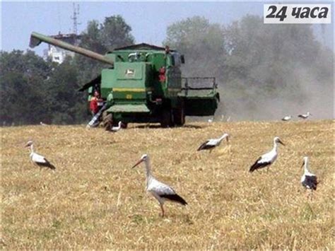 През 23 банки минават парите за земеделските субсидии