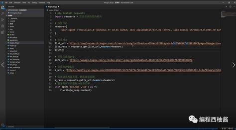 Python 个实战练手项目附源码 素材做完你的Python就牛了 哔哩哔哩