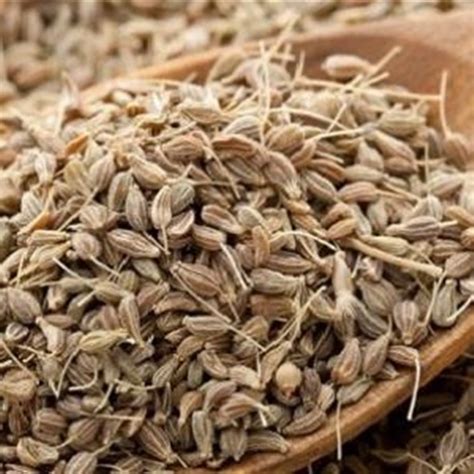 4 مشروبات لزيادة حليب الأم أبرزها اليانسون
