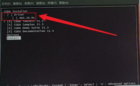 Docker 镜像 中 Cuda 安装 Realyees Blog