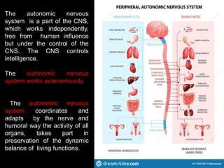 The Parasympathetic Nervous System PPT