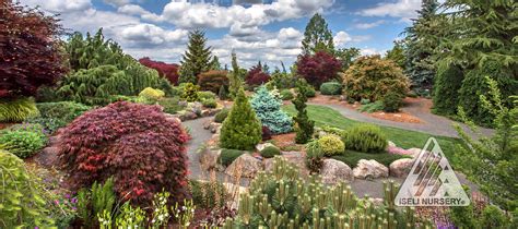 Iseli Nursery Gardens Alive 52 Off