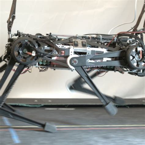 pdf dynamic locomotion in the mit cheetah 3 through convex model predictive control