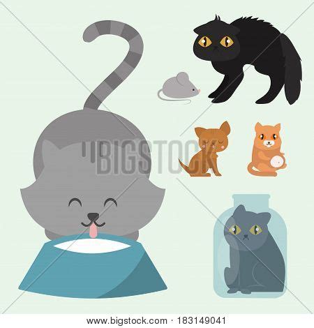 Cute Cats Character Vector Photo Free Trial Bigstock