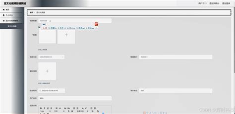 java计算机毕业设计亚文化视频投稿网站（开题报告 源码 论文） csdn博客