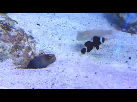 Vineeth Reddy Posted On Linkedin