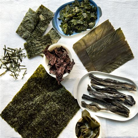 What Is The Difference Between Nori And Wakame Seaweed At Tommy
