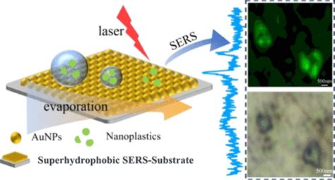Superhydrophobic Surface Enhanced Raman Spectroscopy Sers Substrates For Sensitive Detection