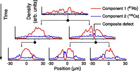 Memory Of Stochastic Defect Dynamics In An Immiscible Two Component