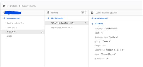 I Cant See My Data Firebase Db On Flutter Stack Overflow