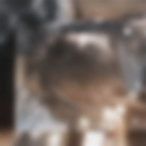 Pediatric Appendectomy Insights And Trends