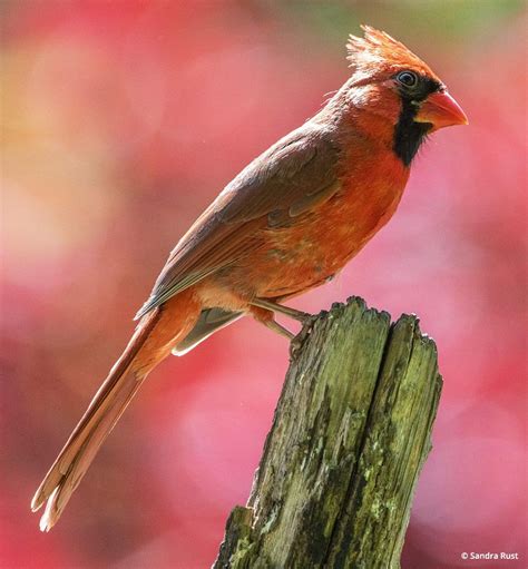 Photo Of The Day By Sandra Rust Outdoor Photographer