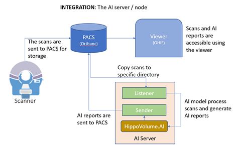 integrating ai into clinical workflow with orthanc and ohif viewer by carlos lacerda medium