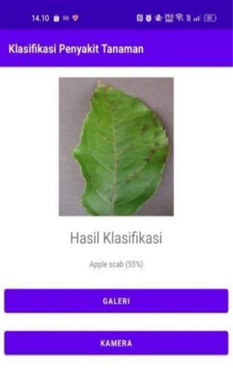 Deployment Of Proposed CNN Model In Android Operating System Download Scientific Diagram
