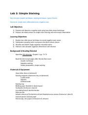 Lab Simple Staining Docx Lab Simple Staining Key Concepts Aseptic Technique Staining