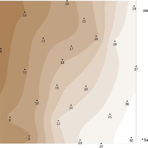 Spatial Radioactivity Concentration Distributions Of Download