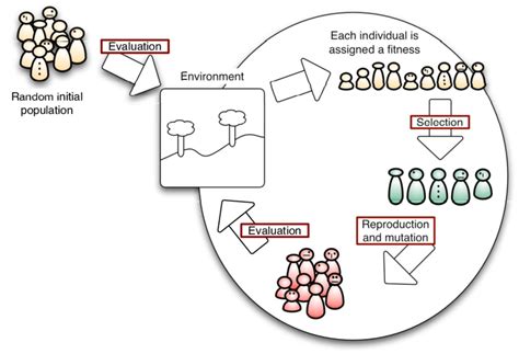 1 Scheme Of An Evolutionary Algorithm Download Scientific Diagram