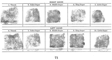 The Science Of Fingerprints