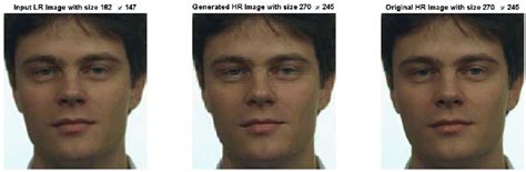 Figure 1 From A Novel Facial Image Resolution Enhancement Algorithm