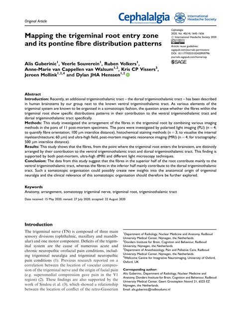 Pdf Mapping The Trigeminal Root Entry Zone And Its Pontine Fibre
