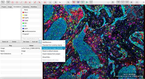 Multiplexed Analysis — Qupath 051 Documentation