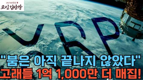 리플 Xrp 붐은 아직 끝나지 않았다 고래들 1억 1000만 더 매집 Youtube
