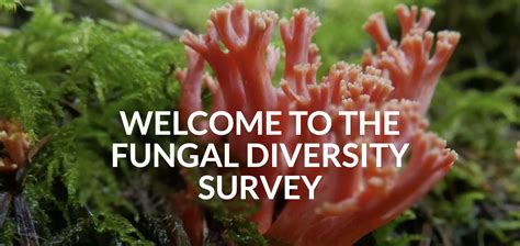 Funga Fungal Diversity And Plant Pathology Research Group