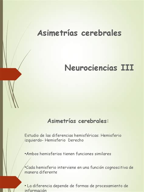 Asimetria Cerebral Pdf Hemisferio Cerebral Handedness
