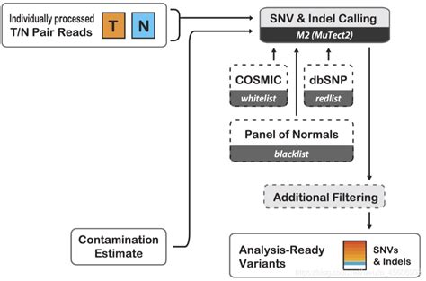 Gatk变异检测weixin45606903 2048 Ai社区