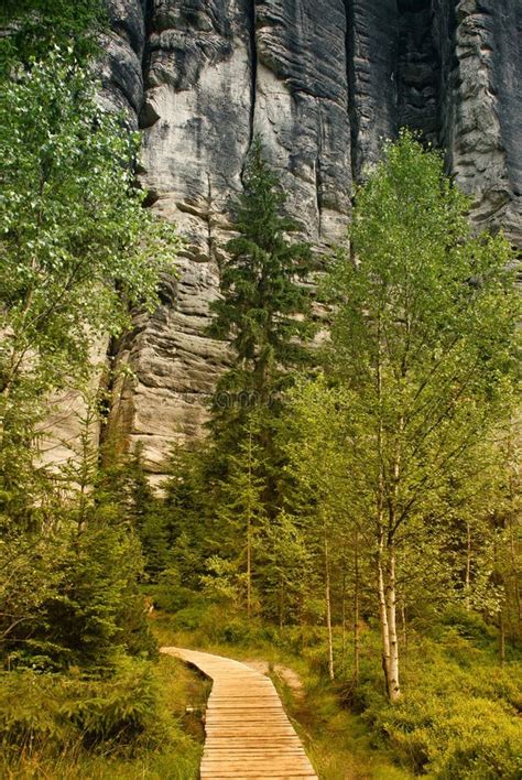 Adrspach Rocks Stock Image Image Of Horizon Green Bushes 15897137