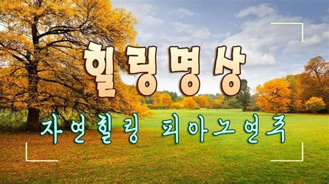 상쾌한 아침을 여는 힐링음악🌲하루10분 만병을 치료 해주는 힐링 명상 기치료 음악 및 영상 아침음악 힐링음악 명상음악 스트레스해소음악 Youtube