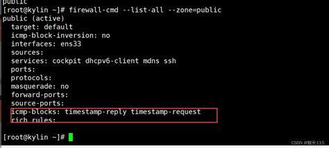 允许traceroute探测漏洞和icmp timestamp请求响应漏洞解决方法（三） 阿里云开发者社区