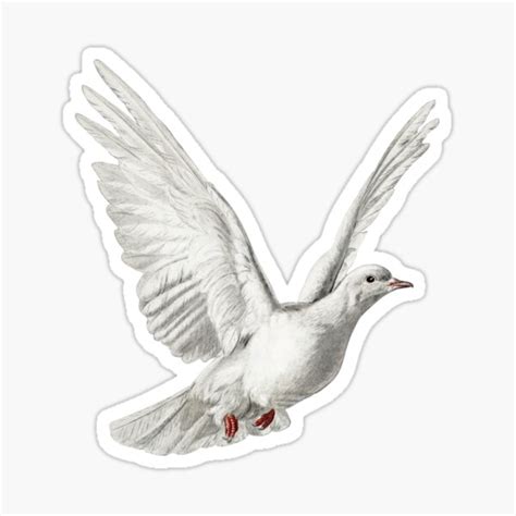 Vintage Dove Sticker For Sale By Zaddiearnold Redbubble
