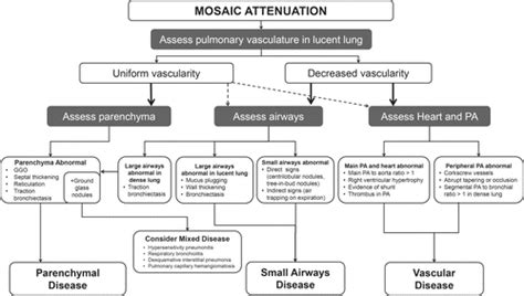 Mosaic Attenuation Etiology Methods Of Differentiation And Pitfalls