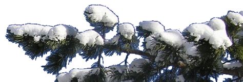 Vlsi Solution Vs1003 Mp3 Wma Midi Audio Codec Circuit