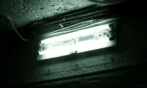 Lickering гифки анимированные  изображения Lickering скачать гиф картинки на Er