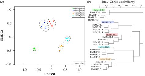 Nmds Plot And Cluster Dendrogram Of The Microbial Community In Download Scientific Diagram