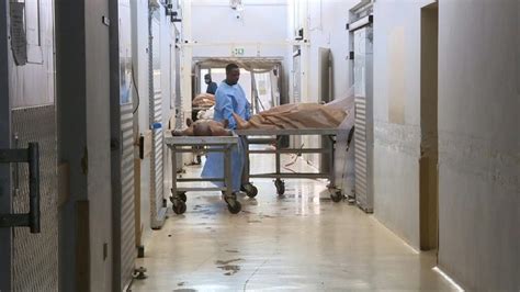 How Long Does A Post Mortem Take In South Africa The Dizaldo Blog