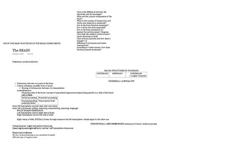 Psyc Brain An Important Concept To Understand Xqfwlrq Surgxfh
