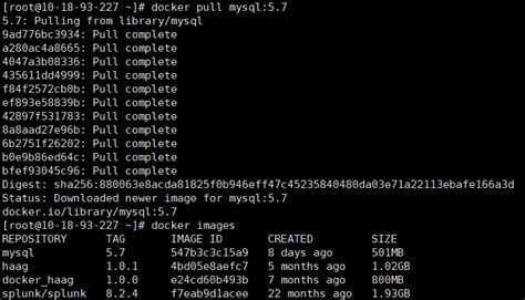 docker部署单机版mysql和主从复制 docker pull mysql 5 7 44 csdn博客