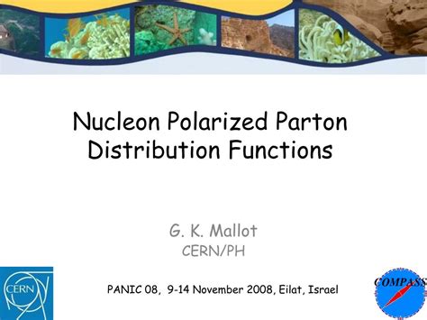 Ppt Nucleon Polarized Parton Distribution Functions Powerpoint