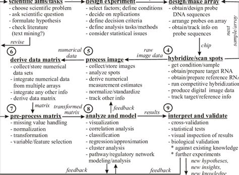4 Microarray Data Analysis Process The Big Picture Download