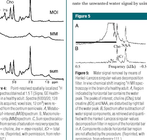 Figure 1 From 1 H Mr Spectroscopy Of The Brain Absolute